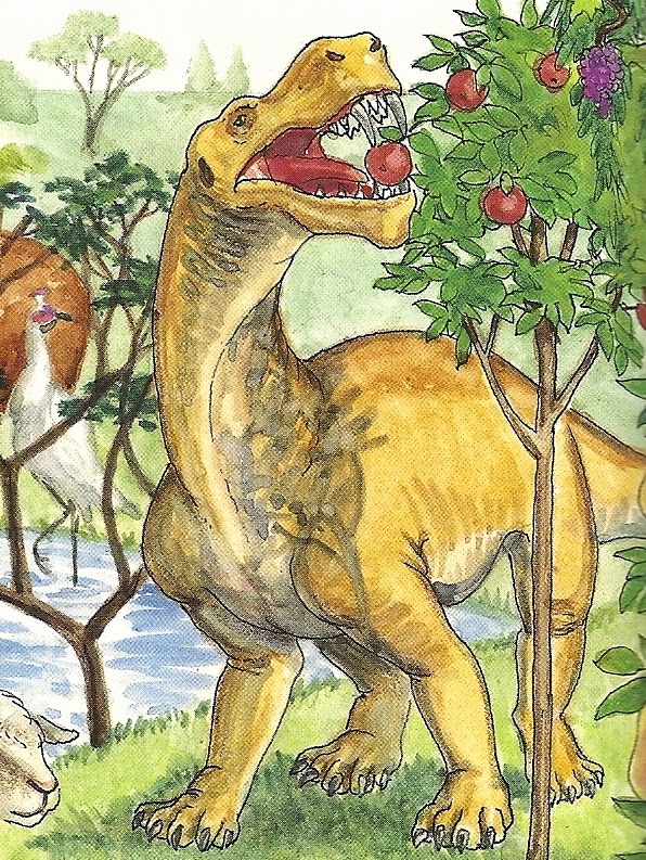 Every Day Is Like Wednesday: (Not a comics) Review: Ken Ham's ...