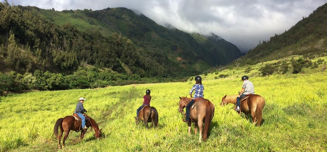 Horseback Riding - A Unique Maui Experience - biographypedia