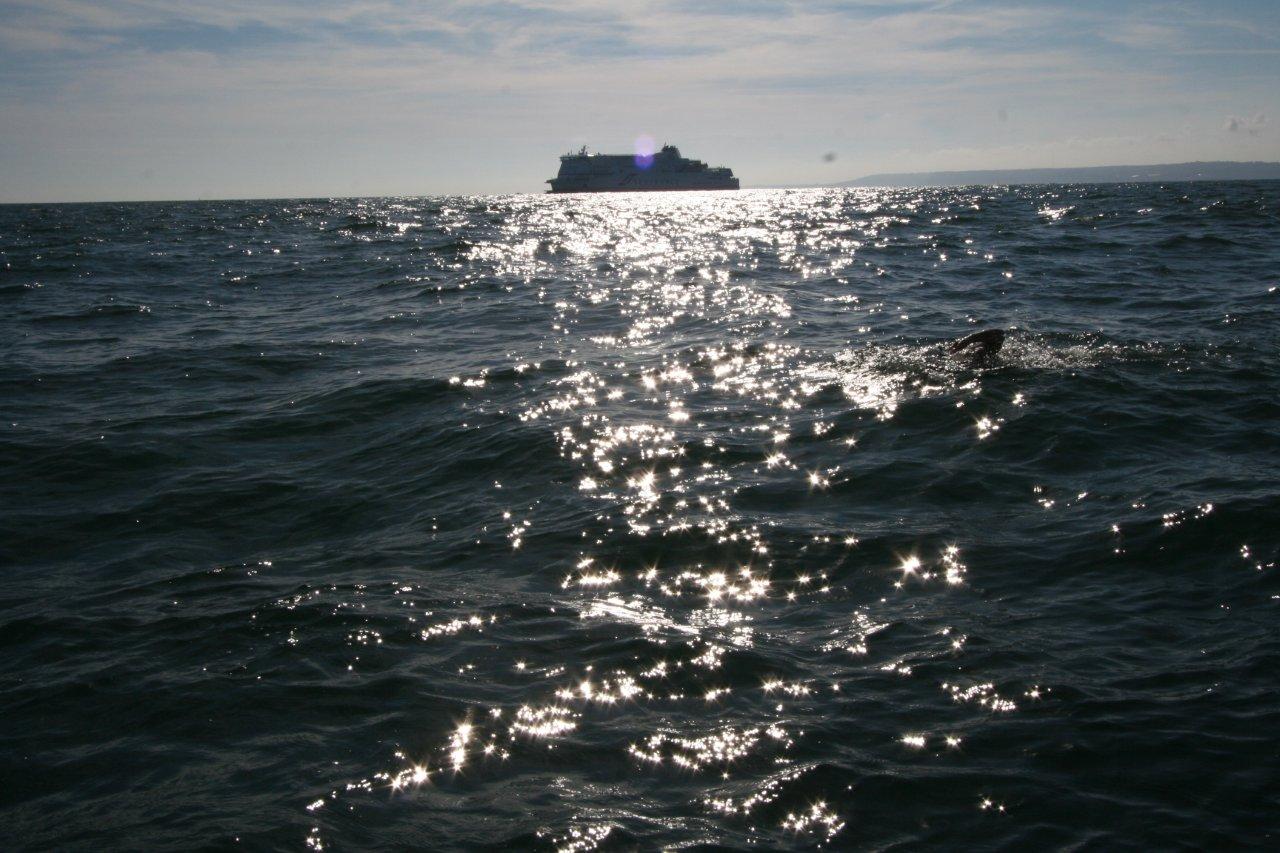 Sea Leopard Charter: Ranie Pearce - Solo Success 5th August 2011 ...