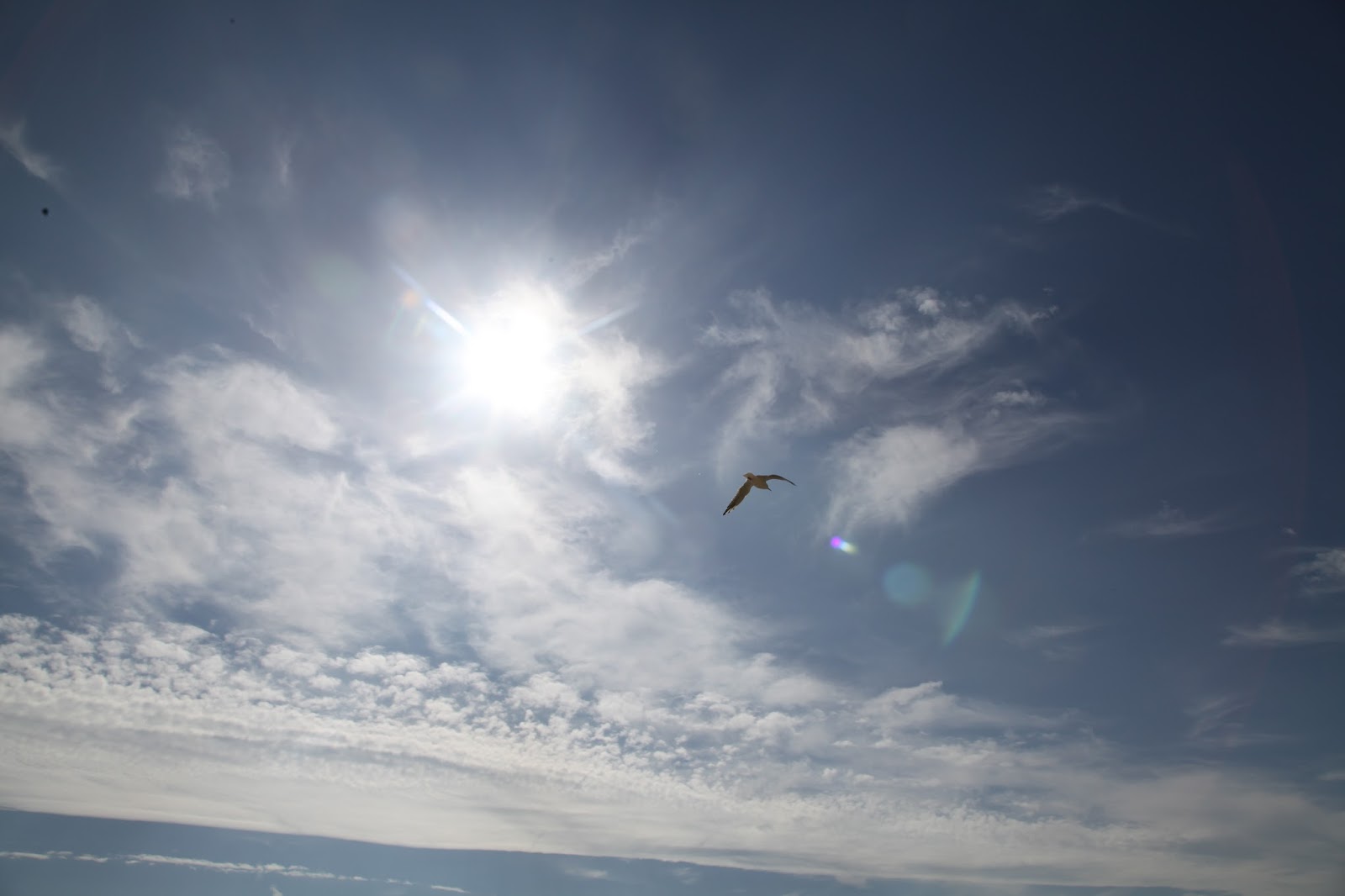 september sun | Journal