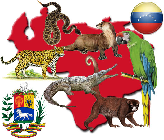 Animales en Peligro: Animales en Peligro de Extinciòn en Venezuela
