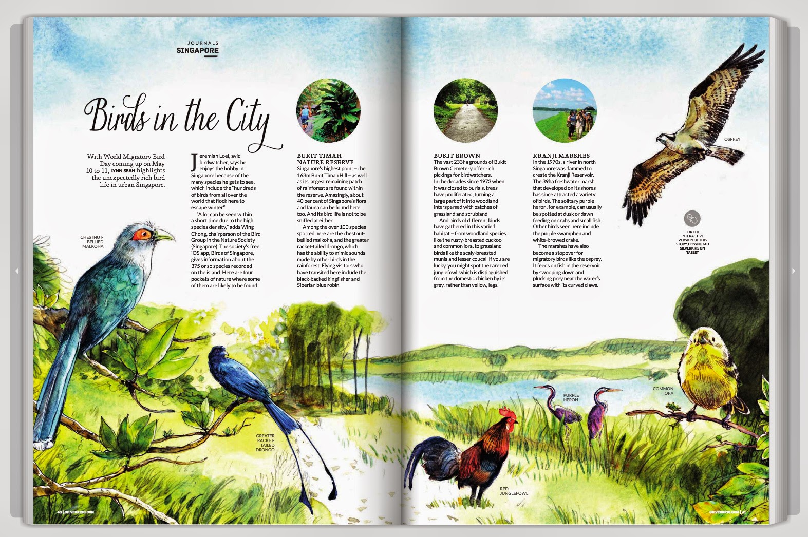 SilverKris Magazine illustrations - April 2014