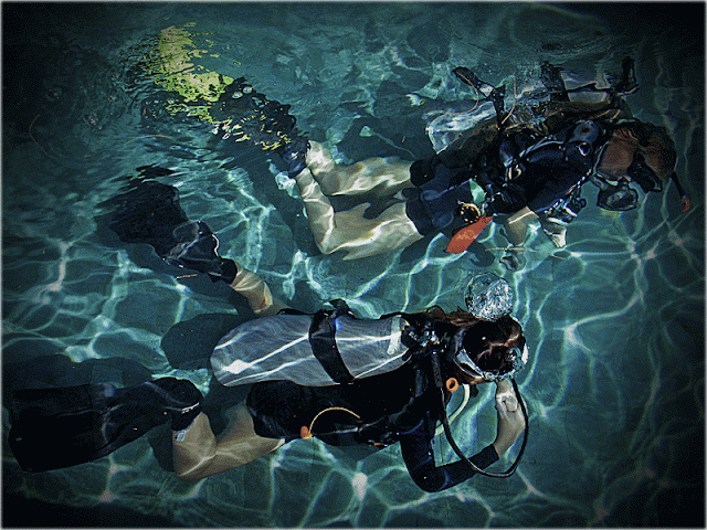 Trawangan Dive: In Depth Instructor level training with Multi Award ...