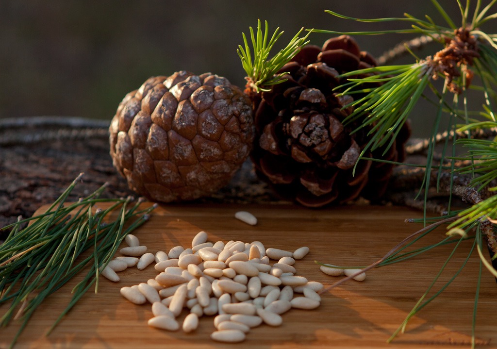 las maravillas del mundo (marbe): Sabias que...