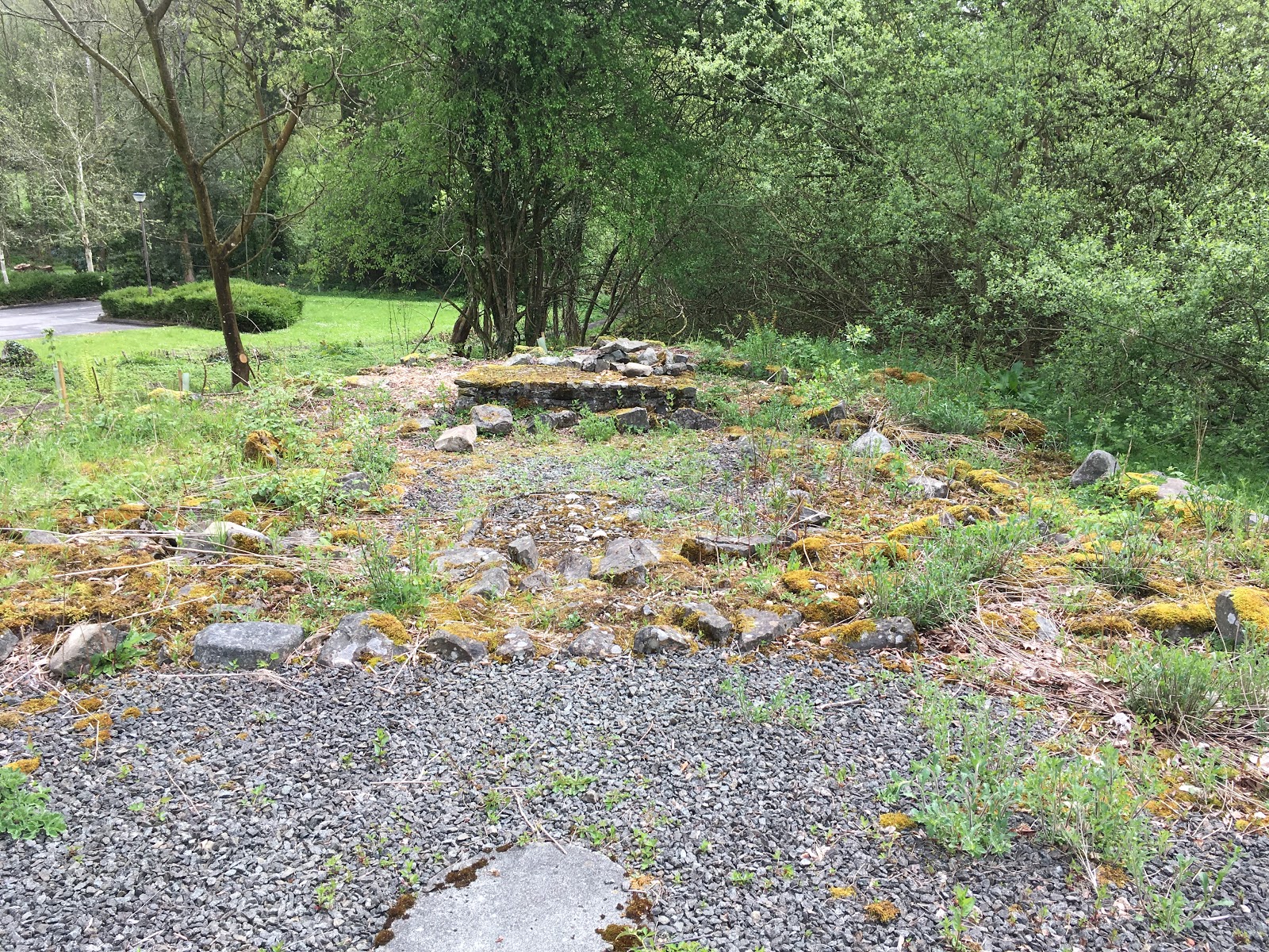 The Church Explorer: Capel Maelog