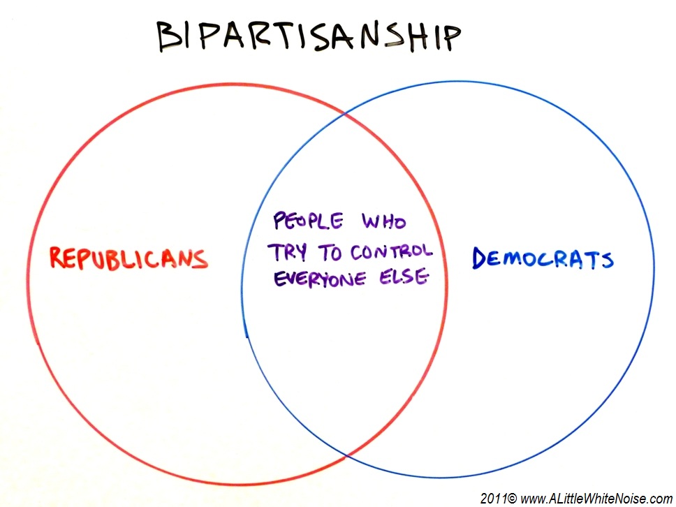 White Noise: Your moment of Venn: Bipartisanship