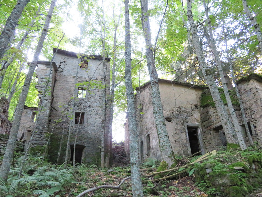 Escursionismo a 360°: Monte Cimone (da Canevare)