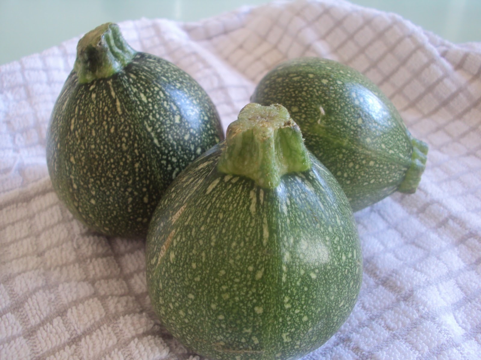 MissMuffin: Baby Squash...