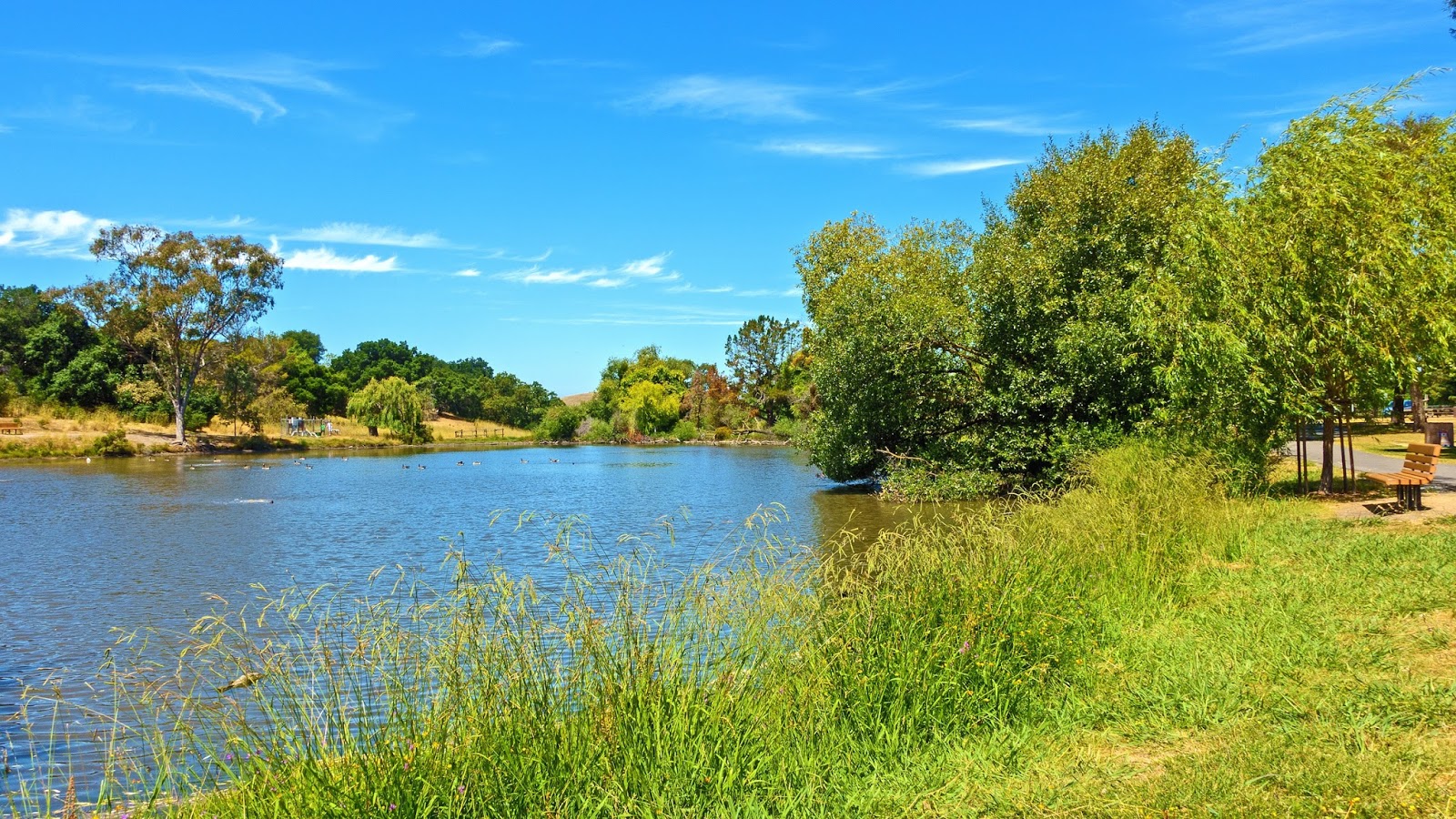 Adventures From A Wheelchair: Ed Levin County Park