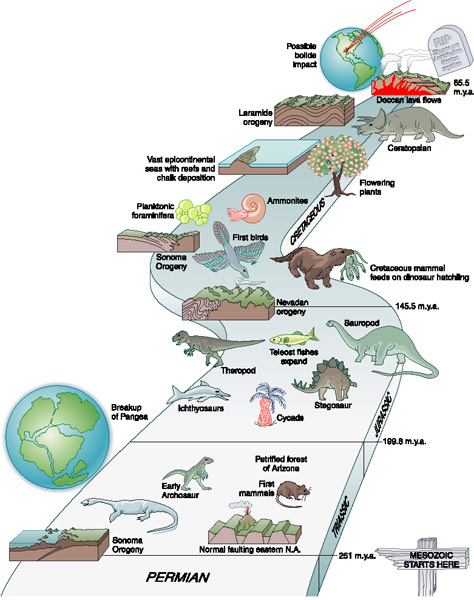 True History (c): Formation of Earth.