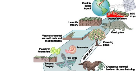True History (c): Formation of Earth.