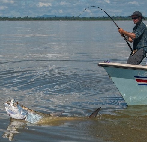 Blue Heron Blast: Cracking Wise