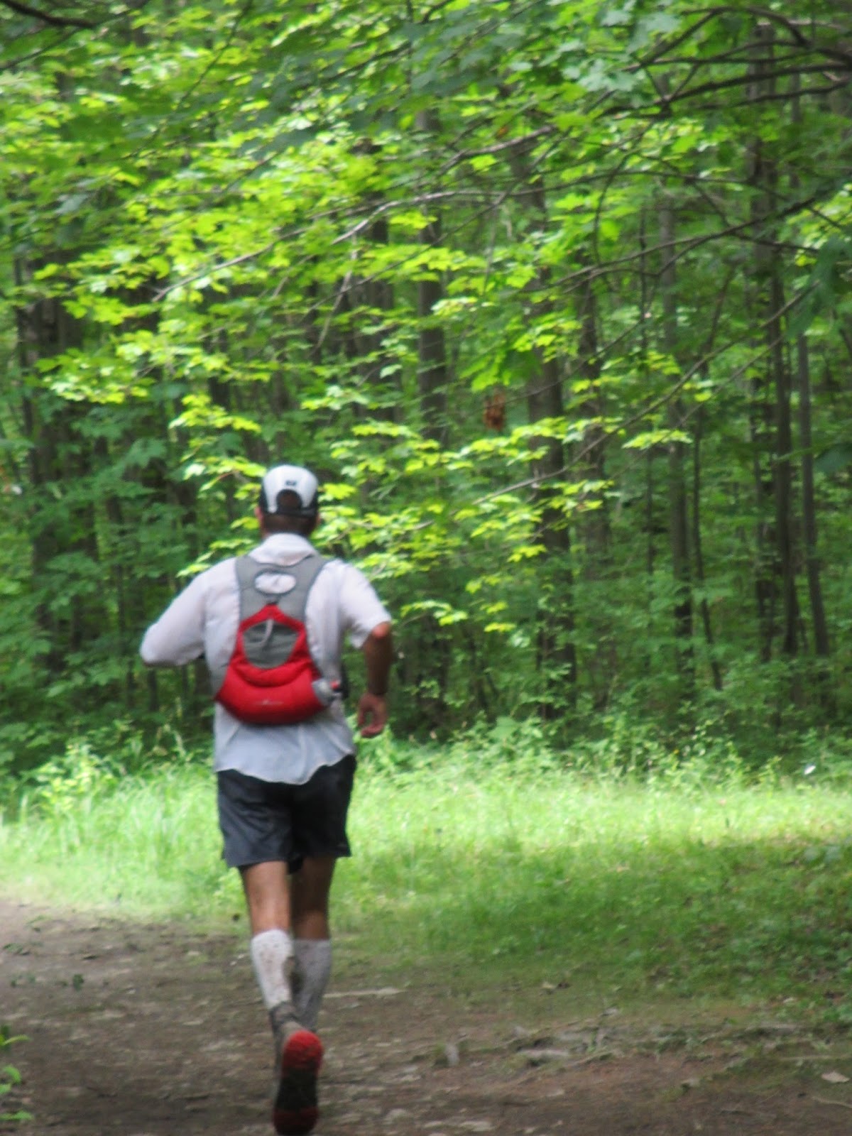 Lakewood's Wanderings and Scribbles.: Vol State 500K and a Finger Lakes ...