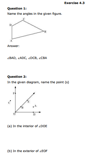 NCERT Text Book Solutions: Ncert Solutins For class 6th Maths: Chapter ...