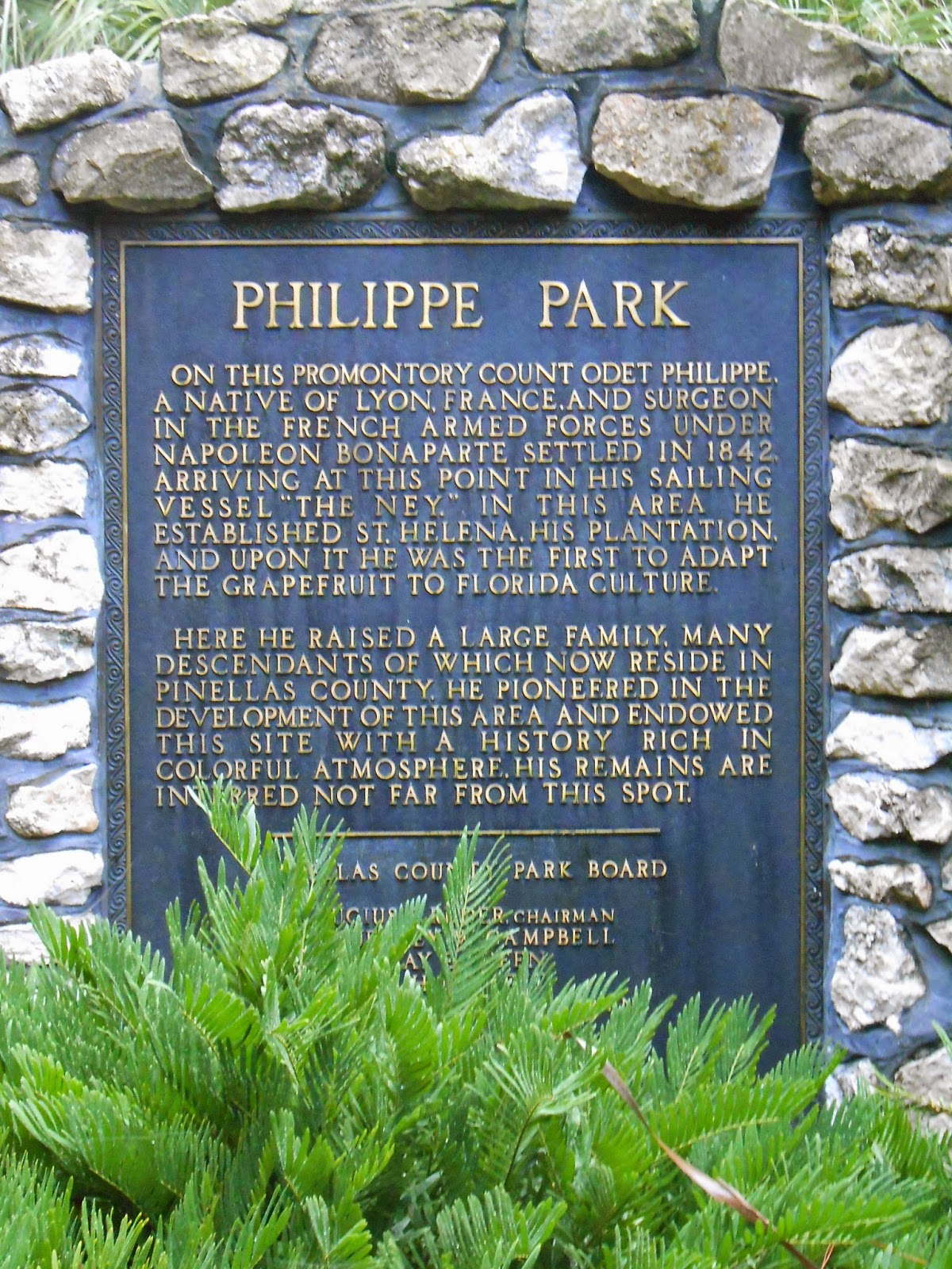 Aloha On My Mind: Aloha to Florida - Philippe Park in Pinellas County