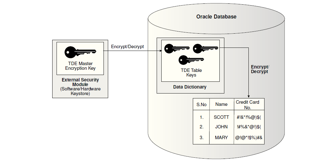 Oracle Transparent Data Encryption (TDE)