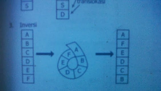 Riza Rabbany's Tale : Macam - macam Mutasi Gen