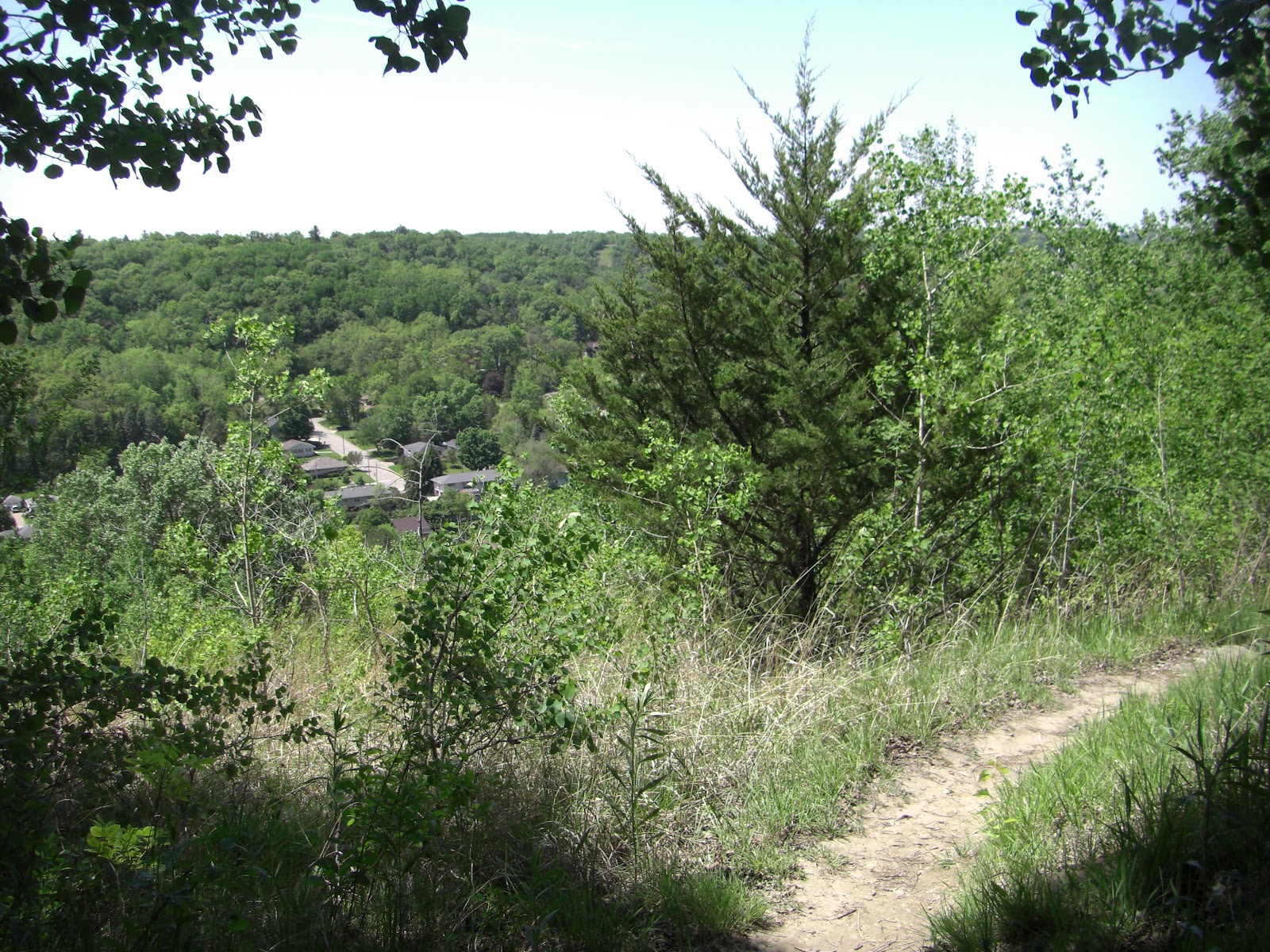 MN Bike Trail Navigator: Red Wing's Memorial Park Mountain Bike Trails