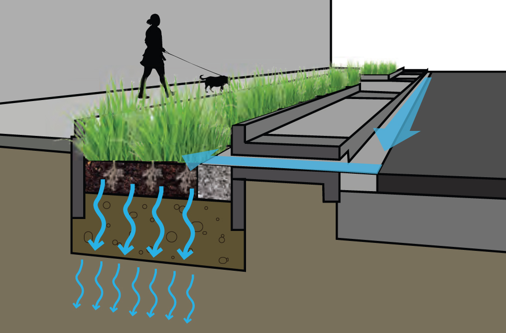 Timeless Environments: Rain Water Harvesting Infrastructure Design Concepts