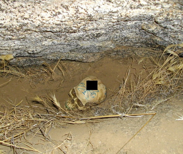 Sitios Raros Y Misteriosos De La Web Parte 1