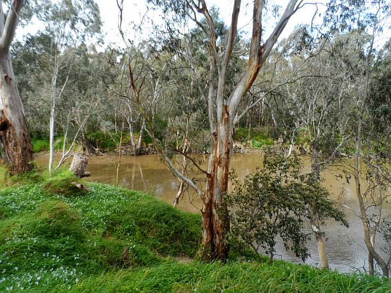 TRACKS, TRAILS AND COASTS NEAR MELBOURNE : Banyule Flats Reserve - 2 km ...