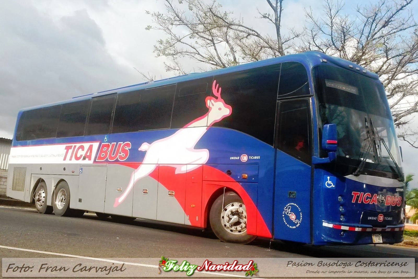 Dr Samuel Banda: TICA BUS