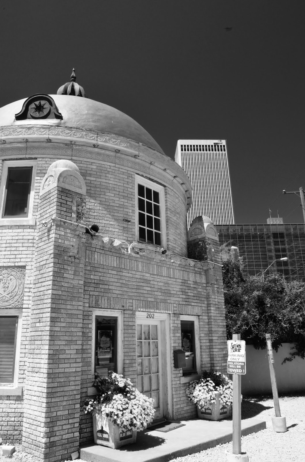 Pink&Charlie: Black & White Tulsa