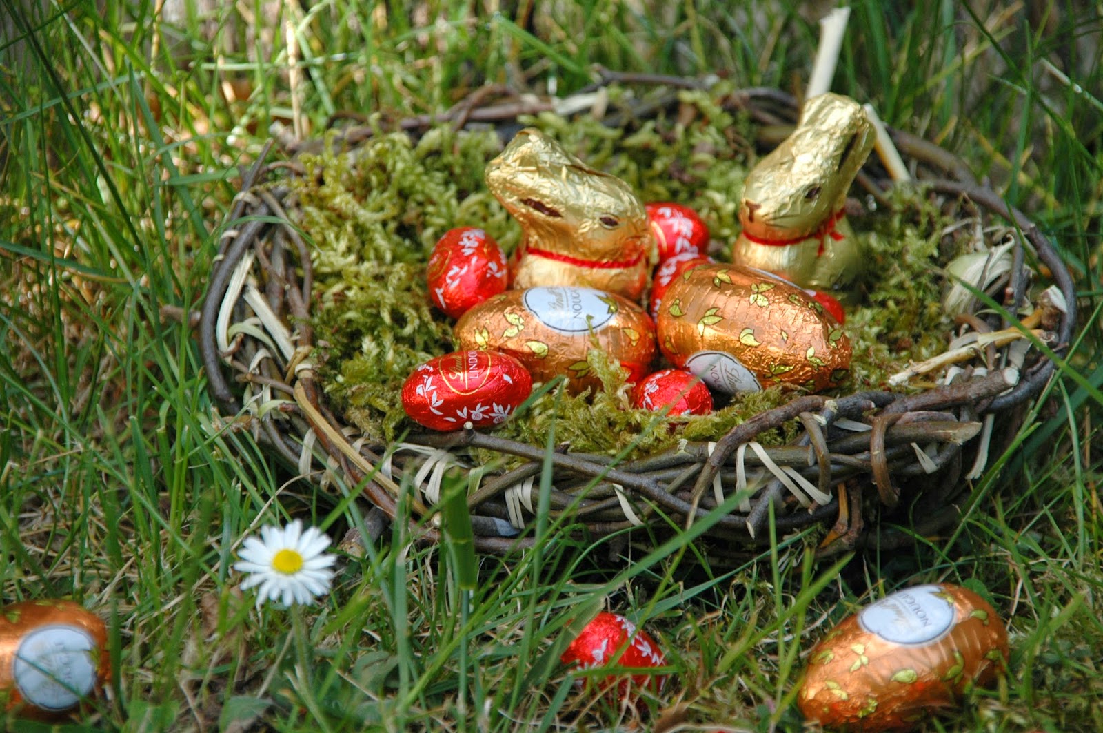 a day in the life of a muddlehead