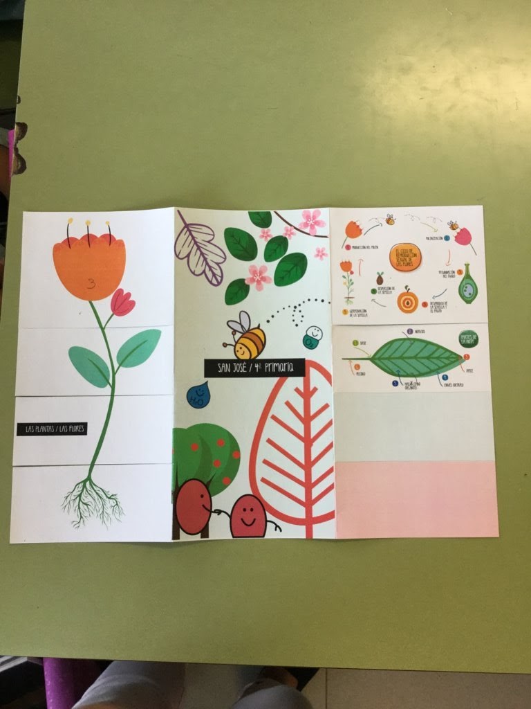 Juntar para mañana: LIBRO SOBRE LAS PLANTAS