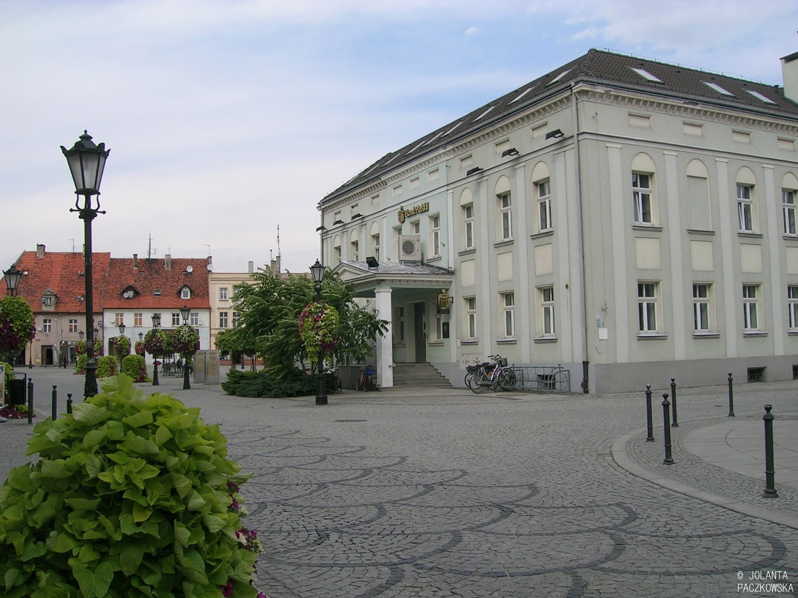 Polski uroków odkrywanie: Dolnośląskie: Milicz - Aleja Gwiazd Siatkówki ...