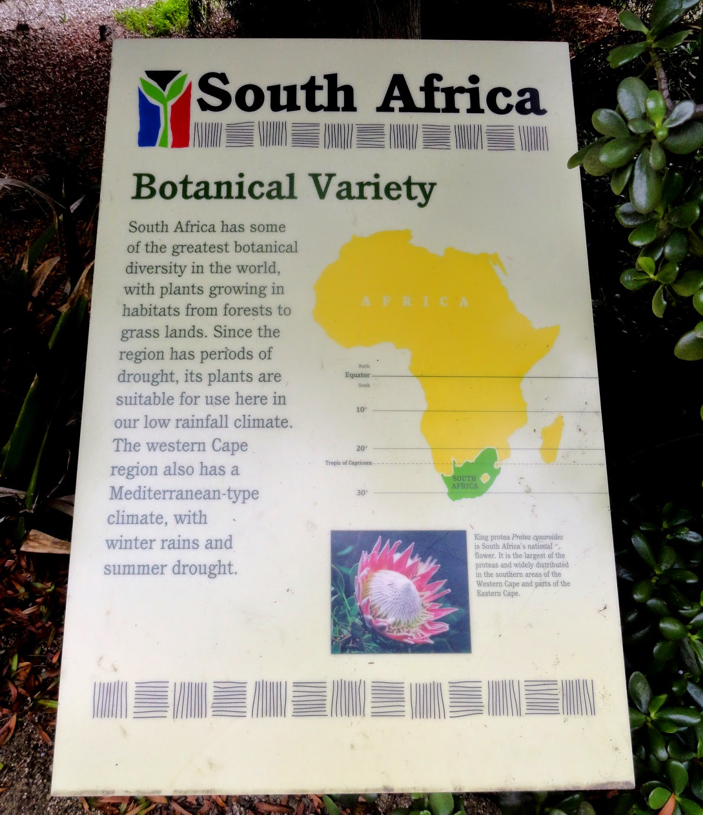 danger garden: San Diego Botanic Garden, Part 1