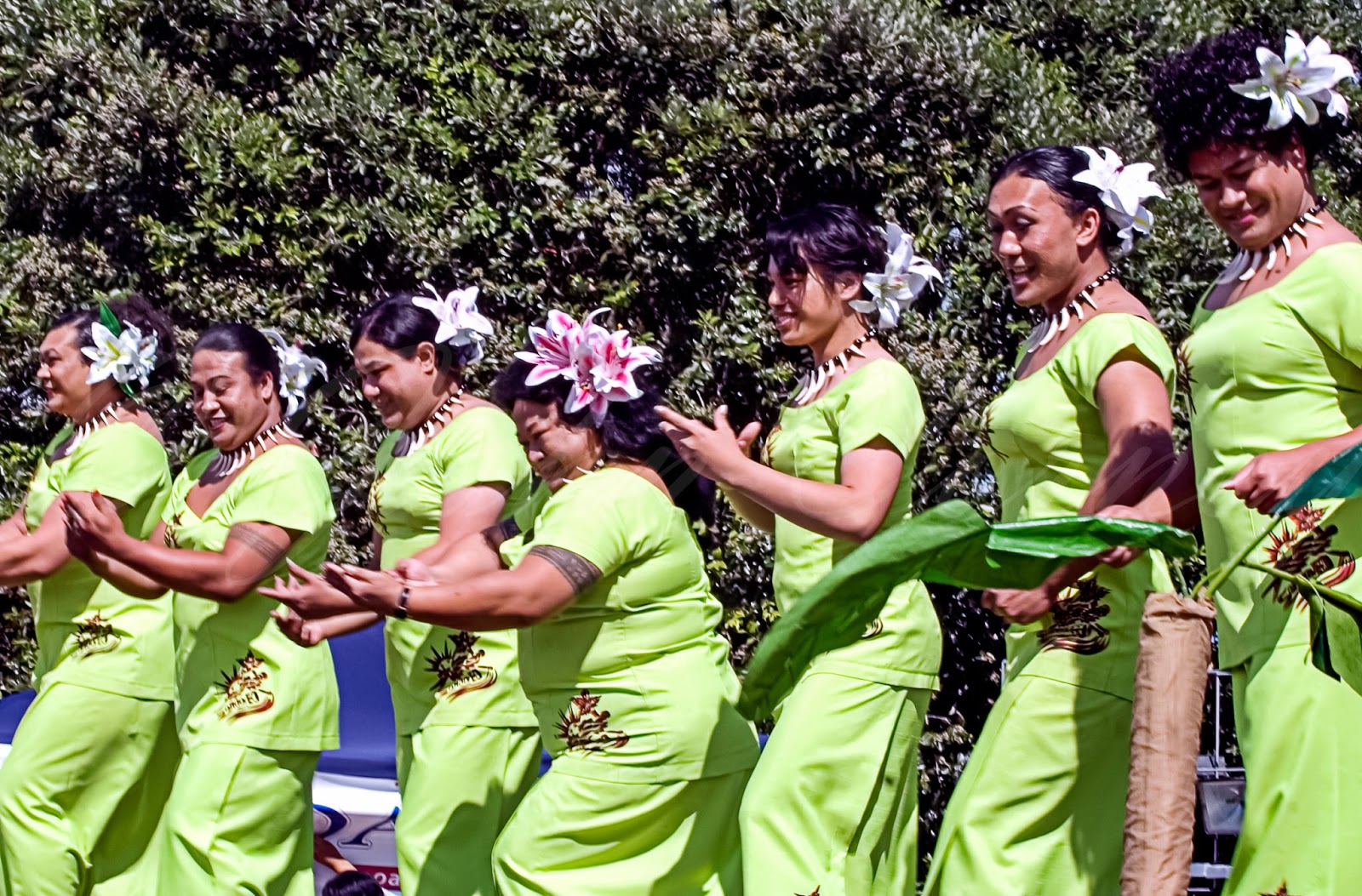 Photography and Digital Art by John Corney: Faafafine at the Pasifika ...