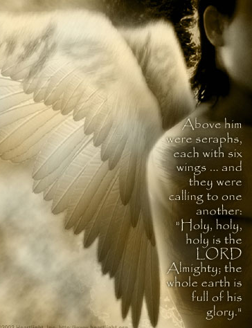 WHAT DO ANGELS LOOK LIKE?