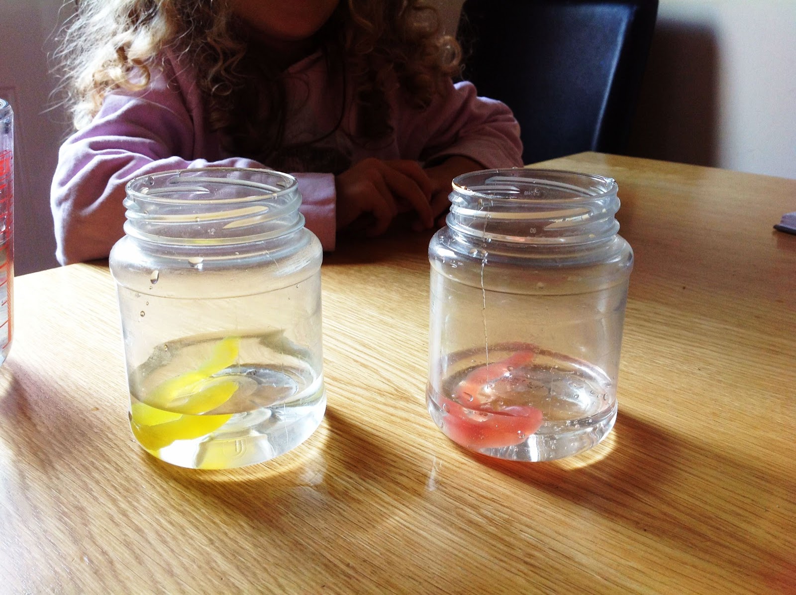 An Ordinary Life : Easy Biology Experiments