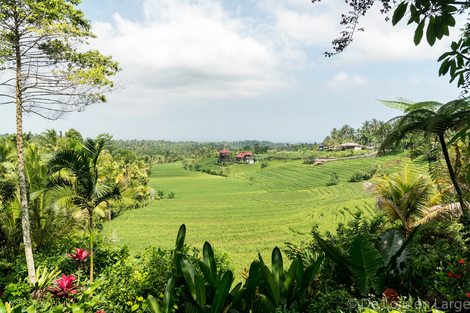 Bali - jour 7 : En route vers Pemuteran