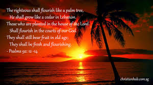 Prayer Pointers: Psalm 92:12-14 - Forever Fruitful