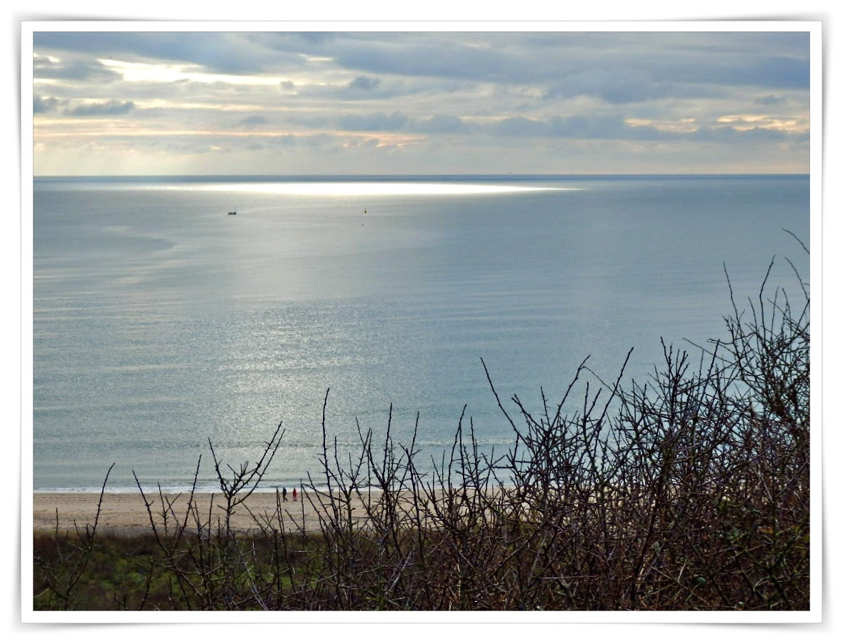 Mike's Cornwall: A SHORT WALK FROM CARLYON BAY