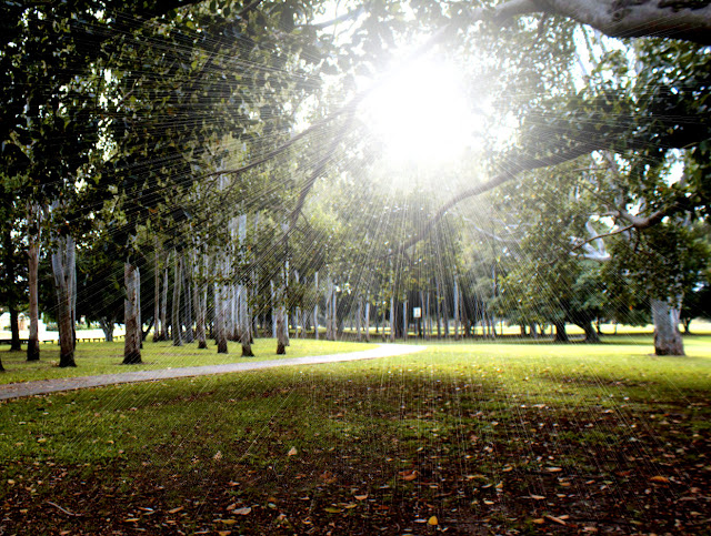 PhotosbyCris : Discovering Albert Park