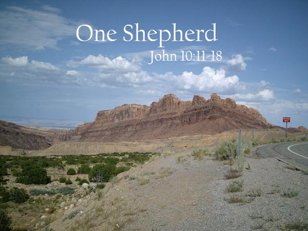 "Beads of Joy" by RosaryManJim: One Shepherd