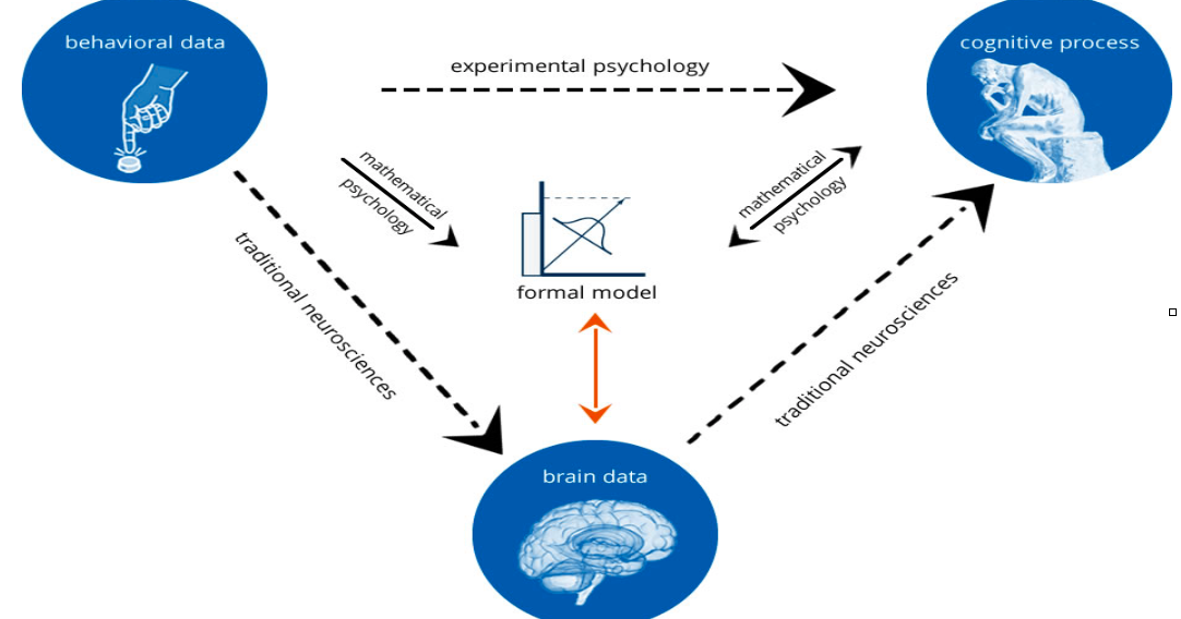 Human Computer Interaction - A virus