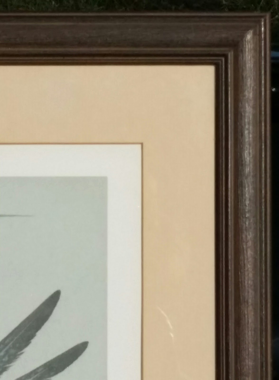 Ancestral Faces: Johnny Tiger Jr "Hawks Vigilance"