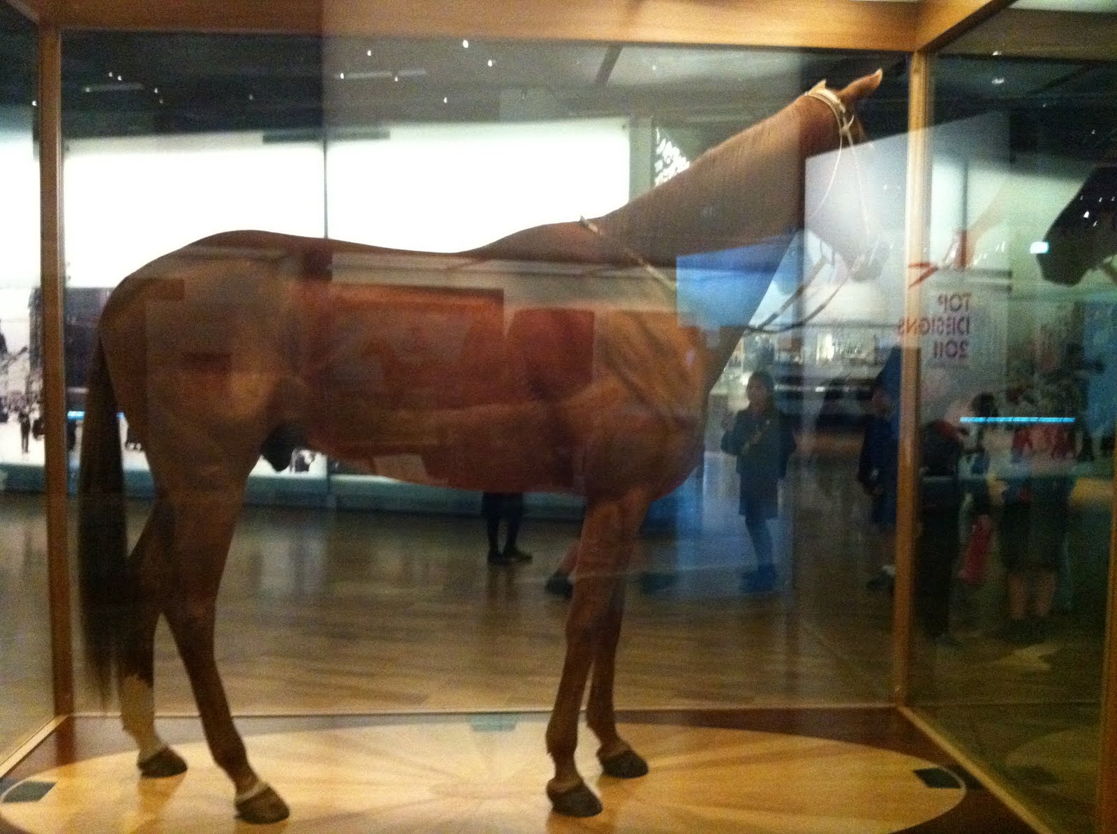 Taxidermy Human Body