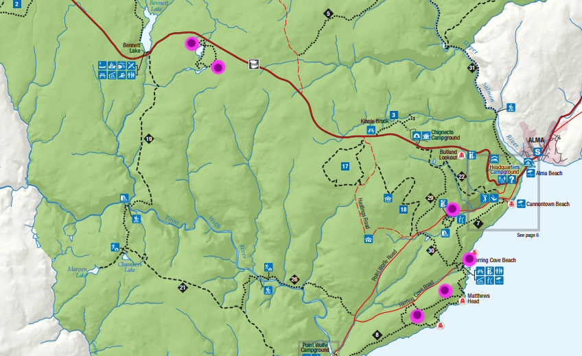 Little Rabbit's Planet: Planning Summer 2018: Fundy National Park