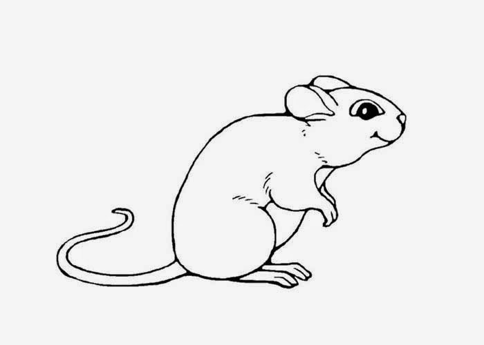 Mice coloring page | Free Coloring Pages and Coloring Books for Kids