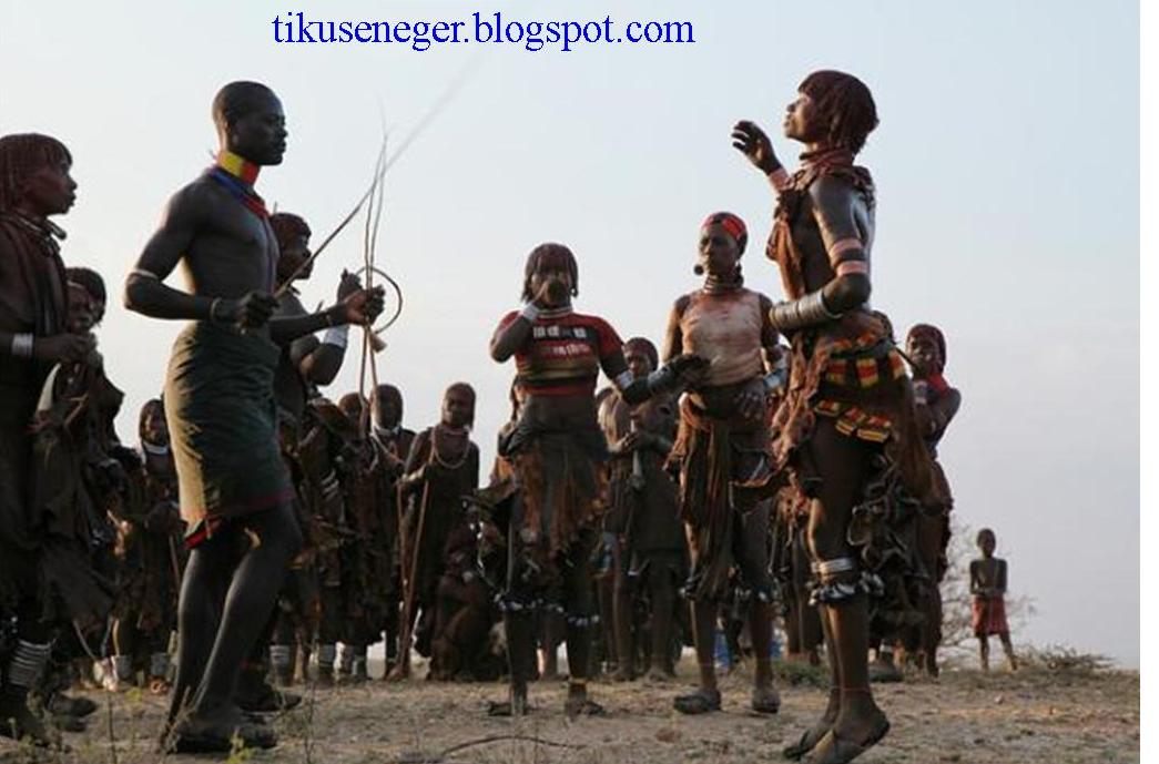 Tikuse Neger: The Bull Jumping and Whipping Rituals of Ethiopia's Hamer ...