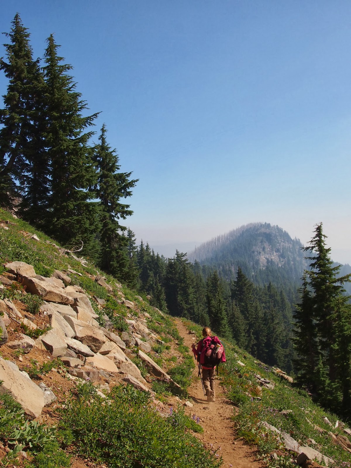 Sierra Hikes!: Day 125: Santiam Lake Trail to Shale Lake