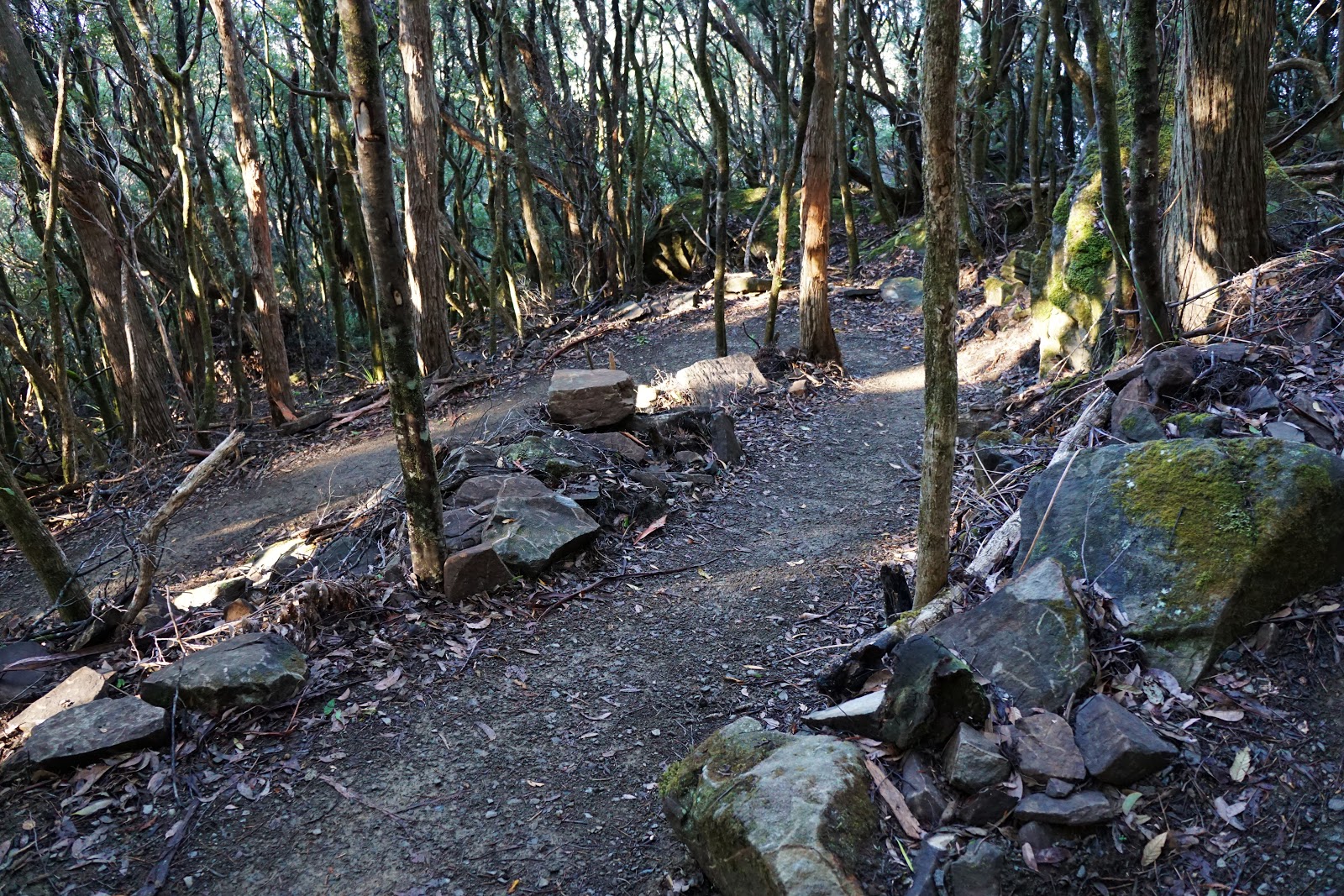 Cape Raoul Track (Tasman National Park) ~ The Long Way's Better