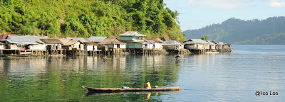 Where I Dive: Togian, Indonesia