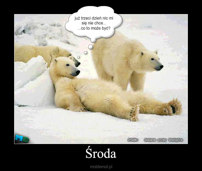 W biurze jem na klawiaturze - Posts | Facebook