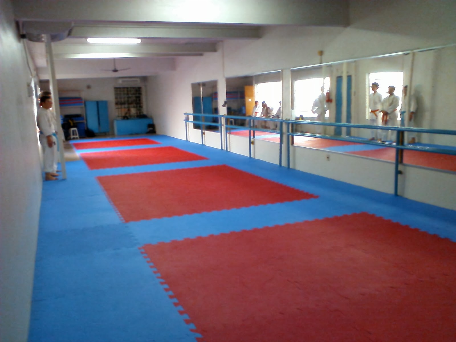 KARATE GOJU RIO GRANDE DO SUL: novembro 2013